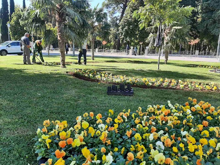 Za ljepše Trebinje - Počela jesenja sadnja cvijeća (Foto) | Trebinje Live